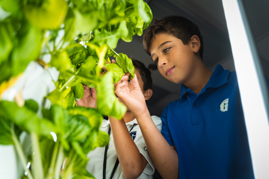 Gulliver Prep Strategic Plan | Private School in Miami, FL